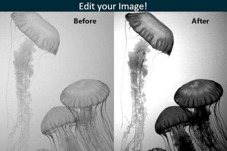 3D Printed Lithophane - Turn Your Art and Photos Into Lithophanes