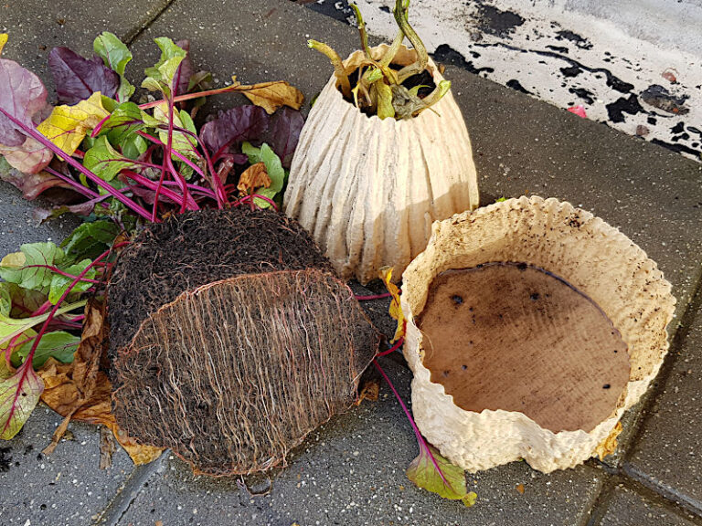 3D Printed Plant Pots and Self-Watering Planters - Waterproof 3D Printing