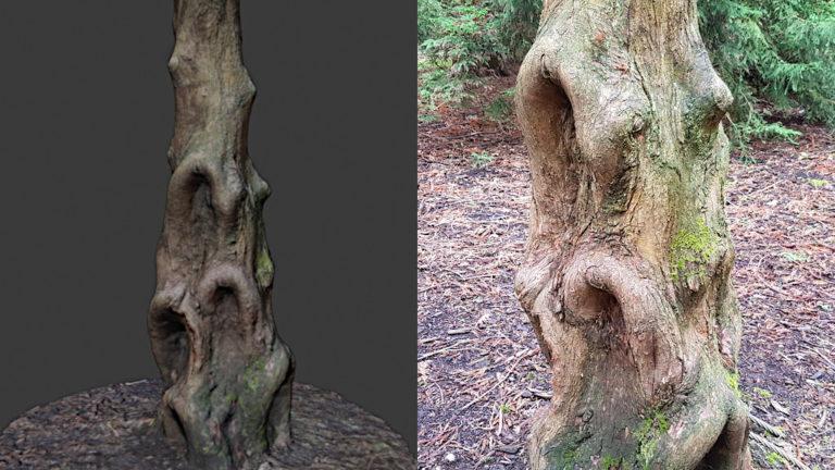 3D Scanned Tree Texture - Ideas For 3D Printing