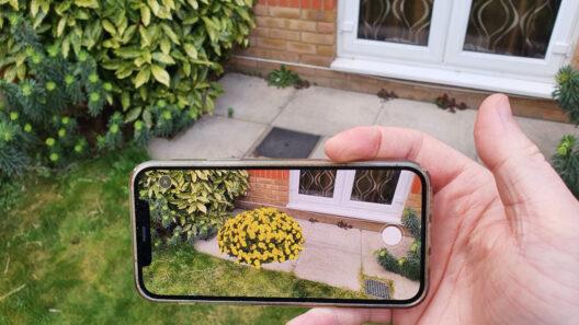 3D Scanning Flowers and Flowerbeds with Mobile Apps