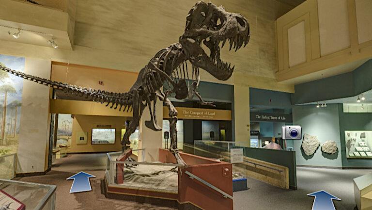 VR Museums - From 2D and 3D Art to Archeological Sites